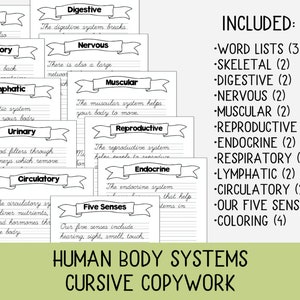 Human Body Systems, Cursive Copywork, Human Body Facts, Cursive ...