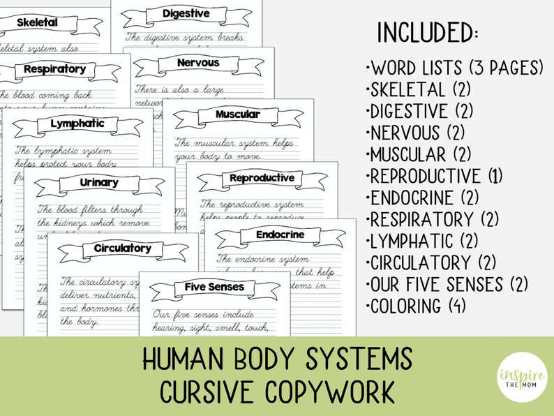 Human Body Systems Cursive Copywork Human Body Facts - Etsy