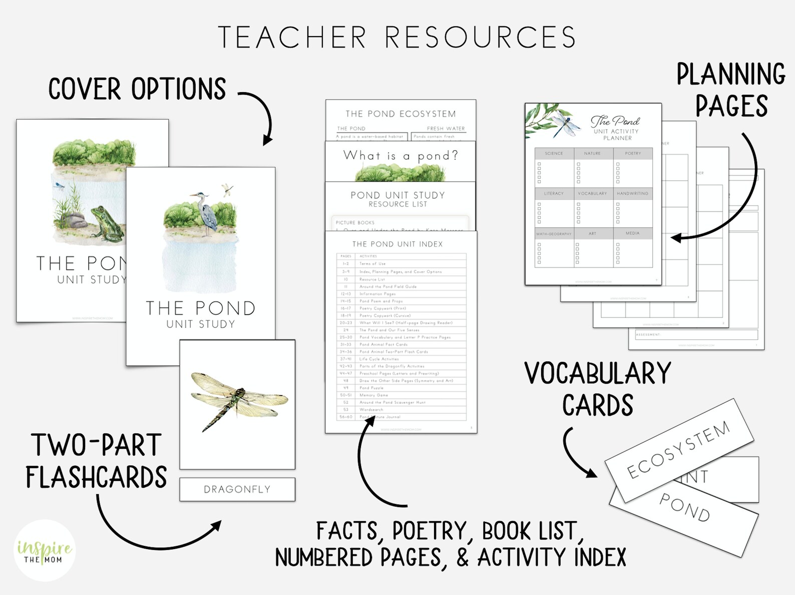 Pond Unit, Nature Study, Life Cycle, Prek - 3rd Grade, Spring Unit ...