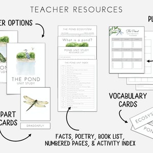 Pond Unit, Nature Study, Life Cycle, Prek - 3rd Grade, Spring Unit ...
