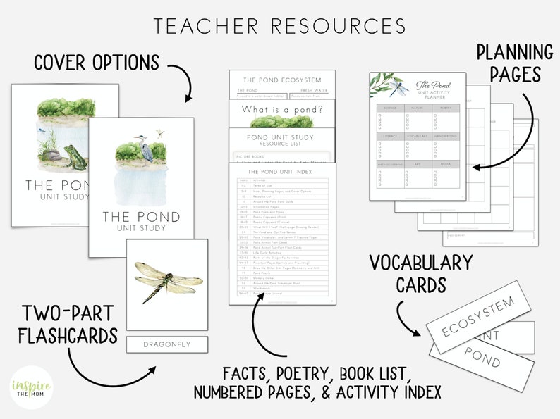 Pond Unit, Nature Study, Life Cycle, Prek - 3rd Grade, Spring Unit ...