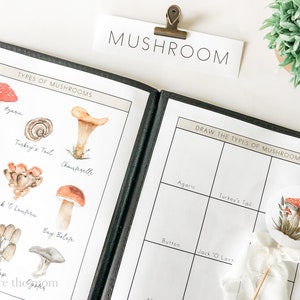 Morning Menu Pages for September | Morning Time Basket | Charlotte ...