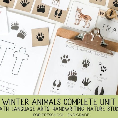 Farm Animal Unit BUNDLE Nature Study Math Language Arts - Etsy