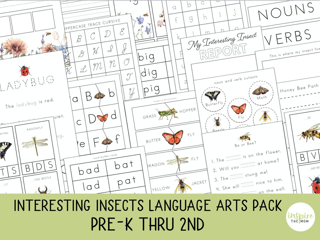 Interesting Insects Language Arts Pack, Prek - 2nd Grade, Literacy ...