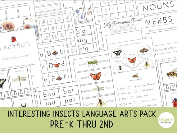 Interesting Insects Language Arts Pack Prek 2nd Grade - Etsy