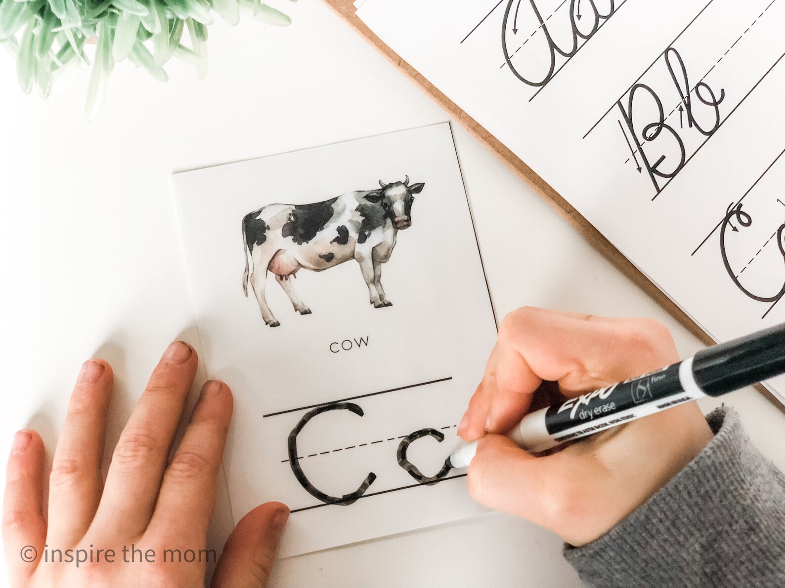 Farm Animal Alphabet Tracing Cards Handwriting Activity Farm - Etsy
