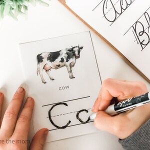 Farm Animal Alphabet Tracing Cards, Handwriting Activity, Farm ...