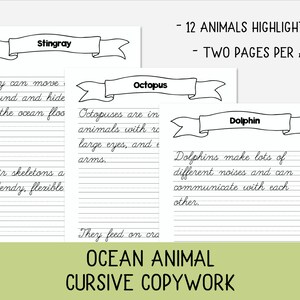Ocean Animals Cursive Copywork, Ocean Animal Facts, Cursive Handwriting ...