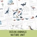 Ocean Animals Unit BUNDLE, Nature Study, Math, Language Arts ...