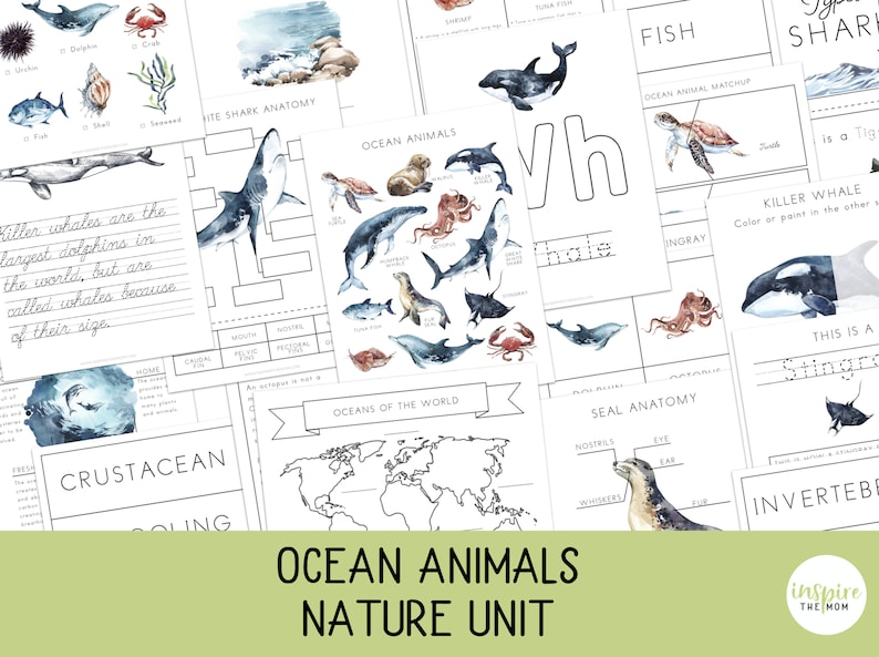 Ocean Animals Unit BUNDLE Nature Study Math Language Arts - Etsy