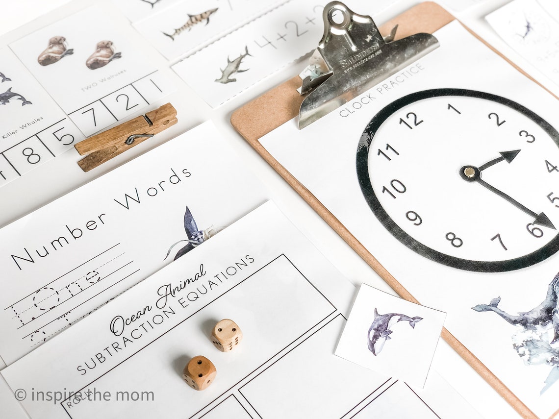 Ocean Animals Unit BUNDLE Nature Study Math Language Arts - Etsy