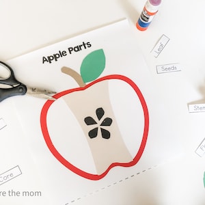 Parts of an Apple Craft, Apple Template, Apple Craft, Apple Activity ...