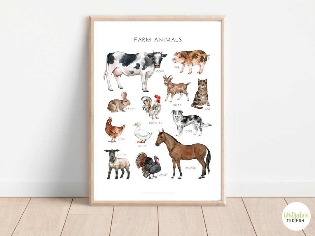 Farm Animals Nature Poster, Educational Poster, School Art, Charlotte ...