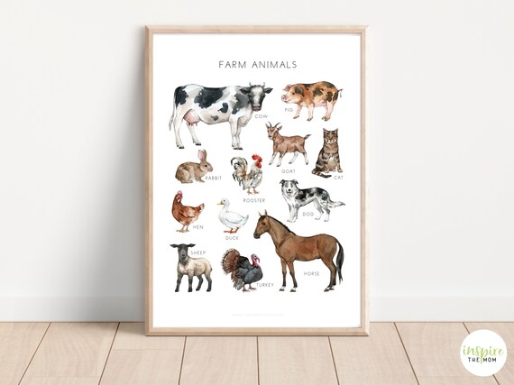 Farm Animals Nature Poster Educational Poster School Art | Etsy