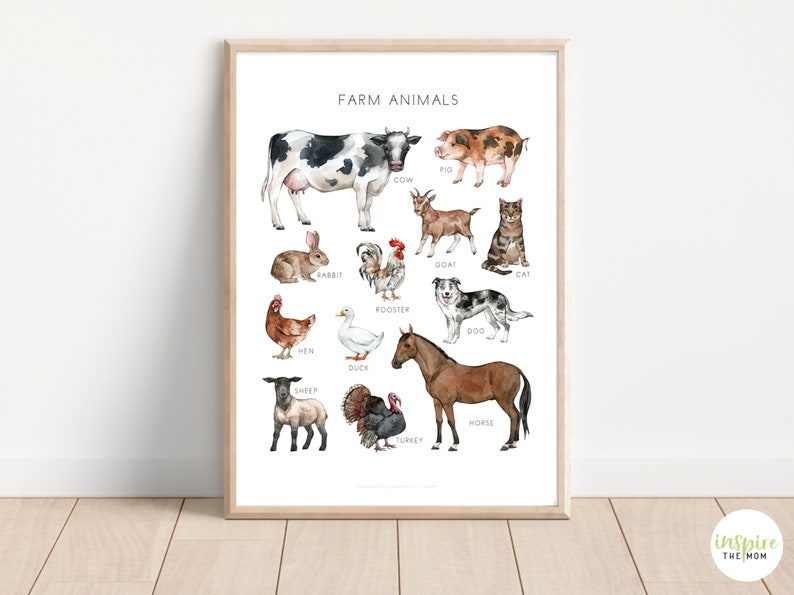Farm Animals Nature Poster, Educational Poster, School Art, Charlotte ...