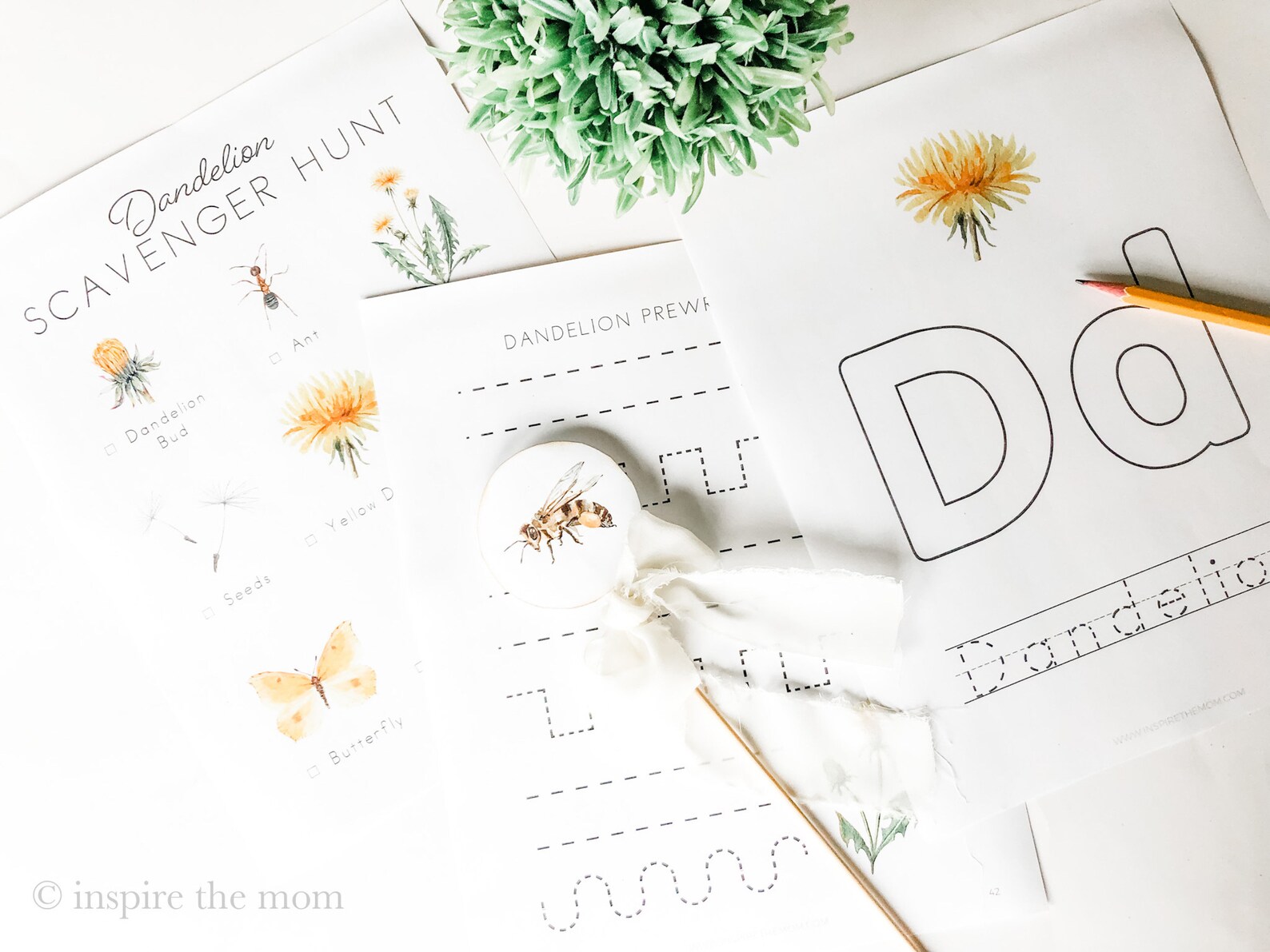 Dandelion Unit Study, Nature Study, Life Cycle, Prek 3rd Grade, Spring ...