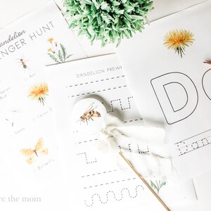 Dandelion Unit Study, Nature Study, Life Cycle, Prek - 3rd Grade ...