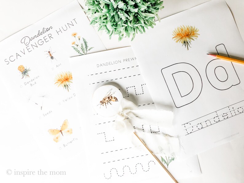 Dandelion Unit Study, Nature Study, Life Cycle, Prek 3rd Grade, Spring ...