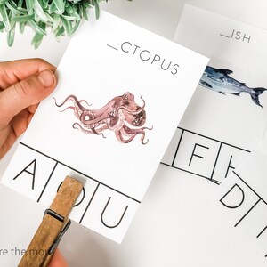 Ocean Animals Literacy Pack, Ocean Activities, Montessori Learning ...