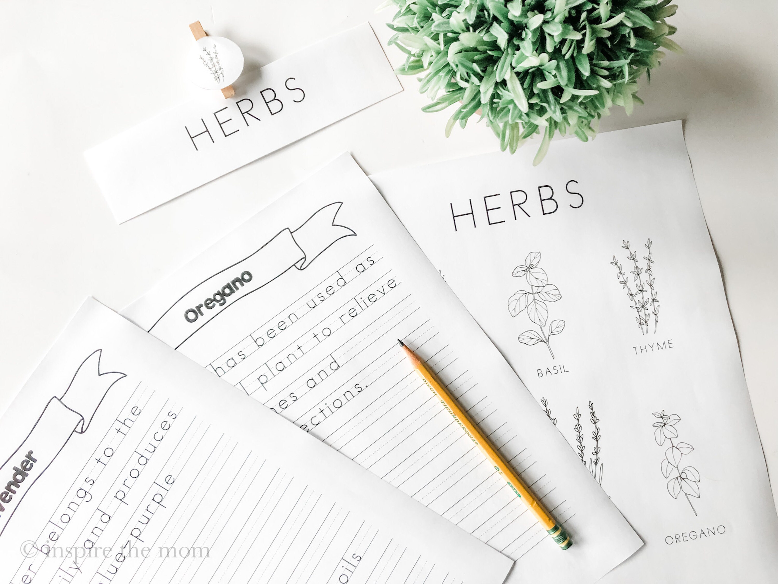 Herbs, Print Copywork, Herb Facts, Print Handwriting Practice ...