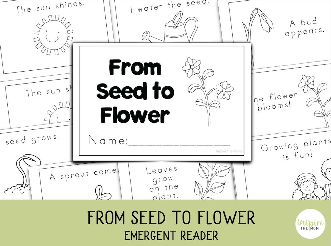 From Seed to Flower Emergent Reader | Plant Lifecycle Activity ...