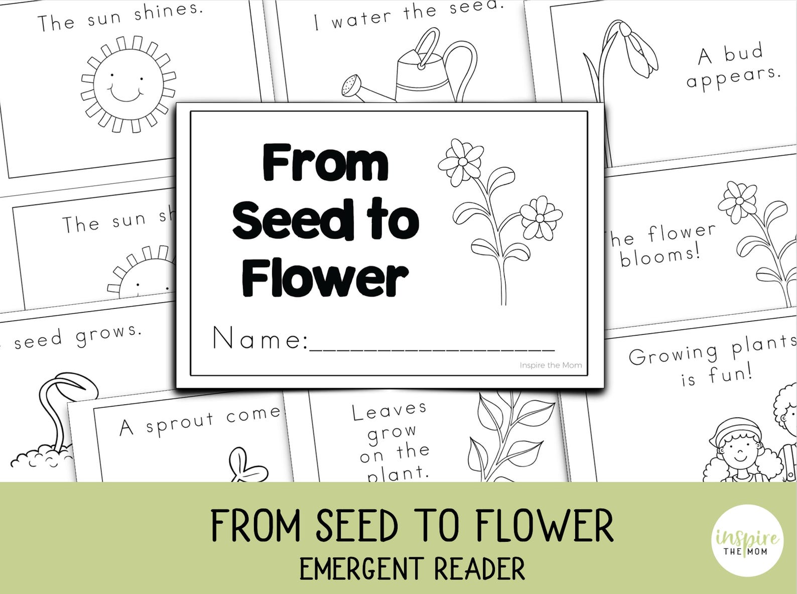 From Seed to Flower Emergent Reader | Plant Lifecycle Activity ...