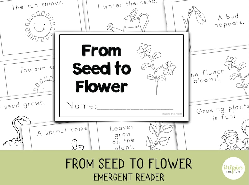 From Seed to Flower Emergent Reader | Plant Lifecycle Activity ...