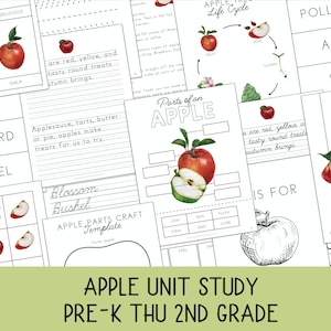 Apple Unit Study Apple Activities Prek 2nd Grade Fall - Etsy