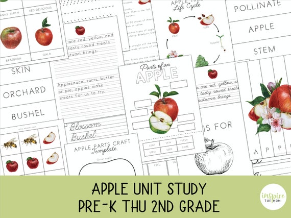 Apple Unit Study Apple Activities Prek 2nd Grade Fall - Etsy