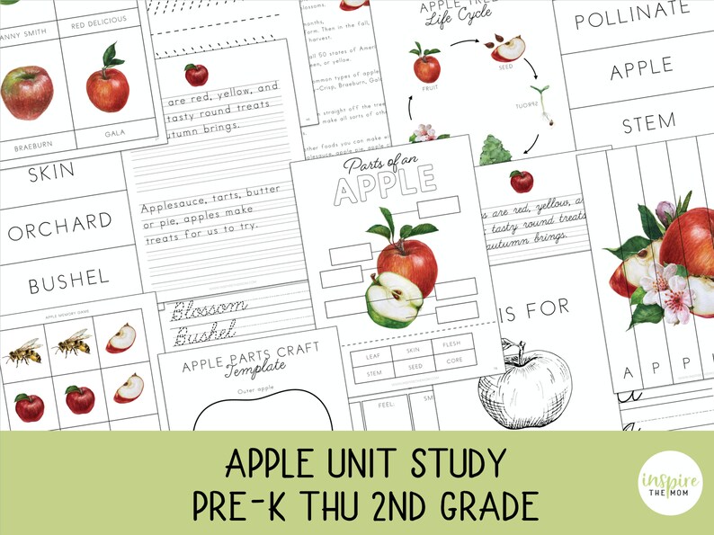 Apple Unit Study Apple Activities Prek 2nd Grade Fall - Etsy