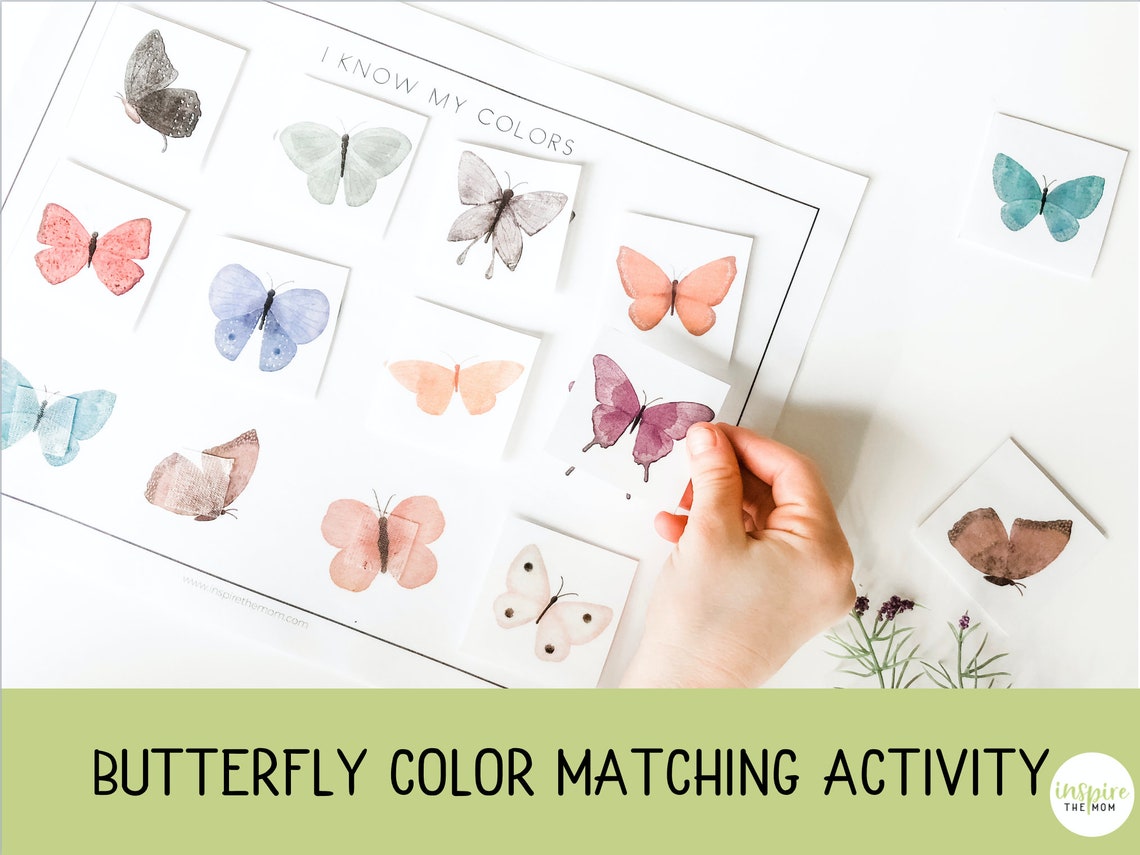 Butterfly Color Matching Activity, Preschool Activity, Preschool Colors ...