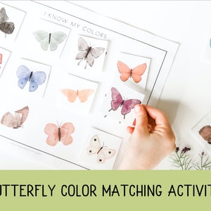 Butterfly Color Matching Activity, Preschool Activity, Preschool Colors ...