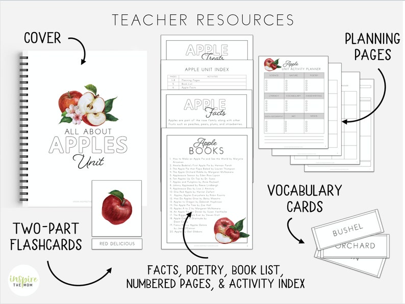 Apple Unit Study Apple Activities Prek 2nd Grade Fall - Etsy