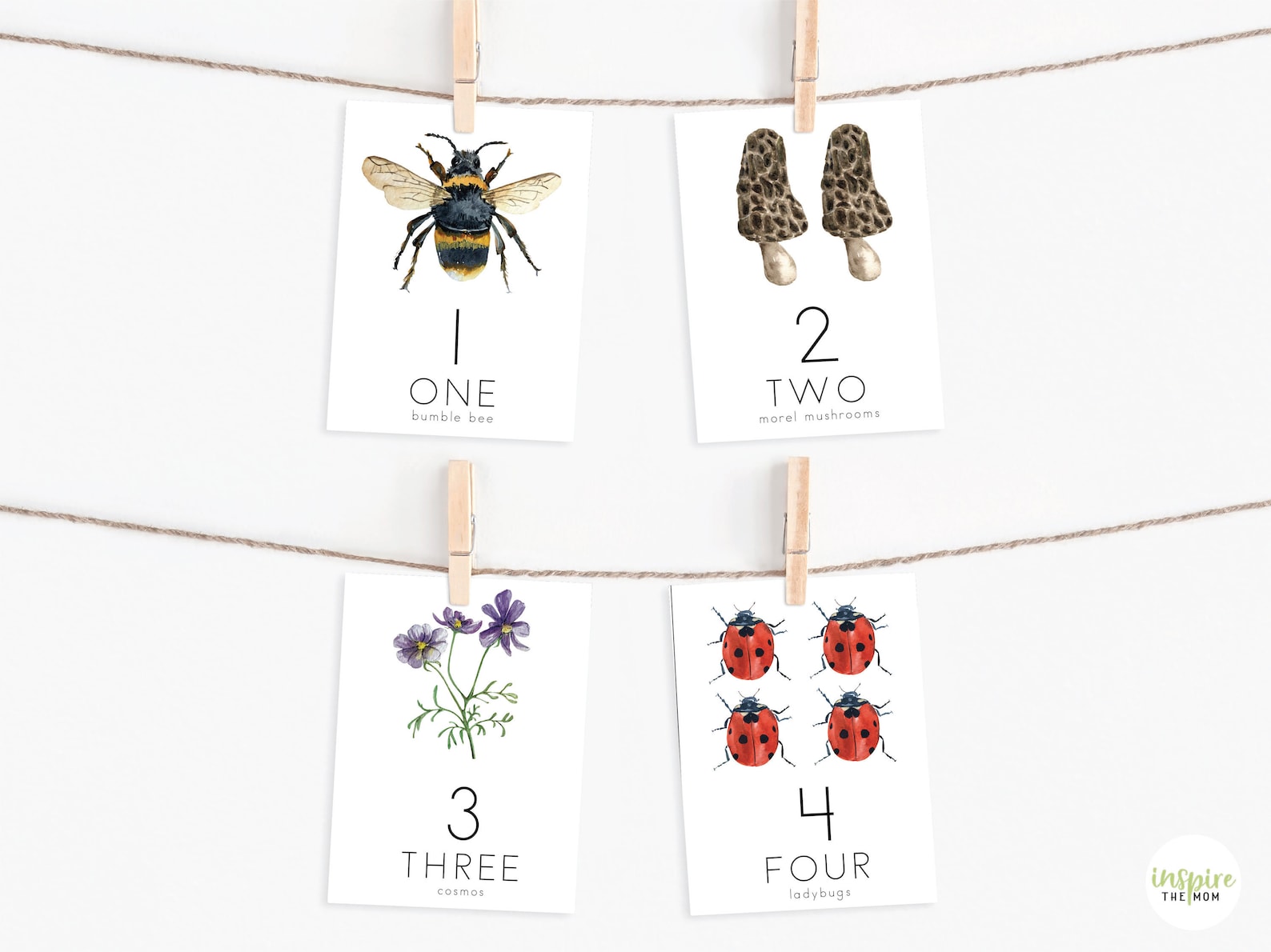Nature Counting Flashcards Preschool Homeschool Printable - Etsy