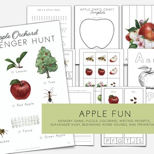 Apple Unit Study | Fall Nature Printables for Prek–2nd | Homeschool or ...