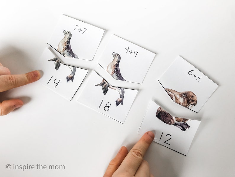 Ocean Animals Math Pack Prek-2nd Ocean Unit Math - Etsy