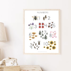 Nature Counting and Numbers Poster, Educational Print, Nursery Wall Art ...