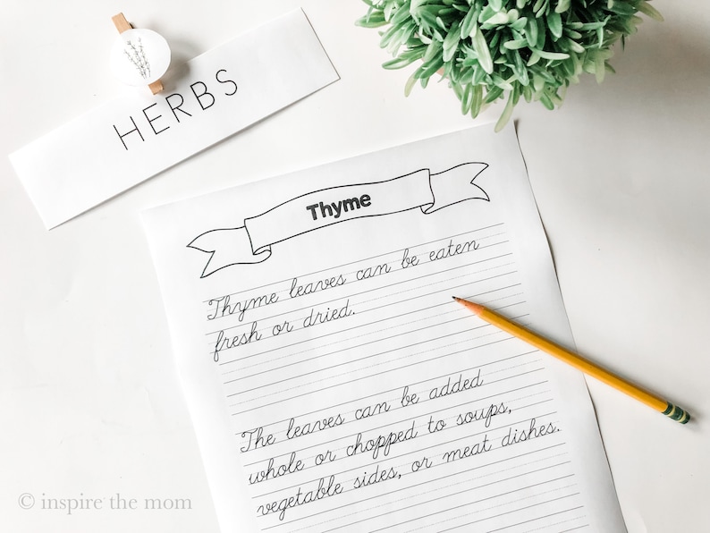Herbs, Cursive Copywork, Herb Facts, Cursive Handwriting Practice ...