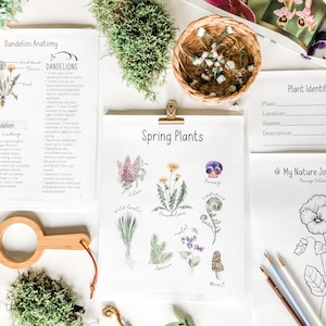 Spring Nature Journal for Kids, Nature Study, Science Curriculum ...