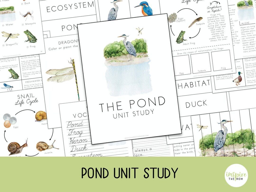Pond Unit, Nature Study, Life Cycle, Prek - 3rd Grade, Spring Unit ...