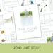 Pond Unit, Nature Study, Life Cycle, Prek - 3rd Grade, Spring Unit ...