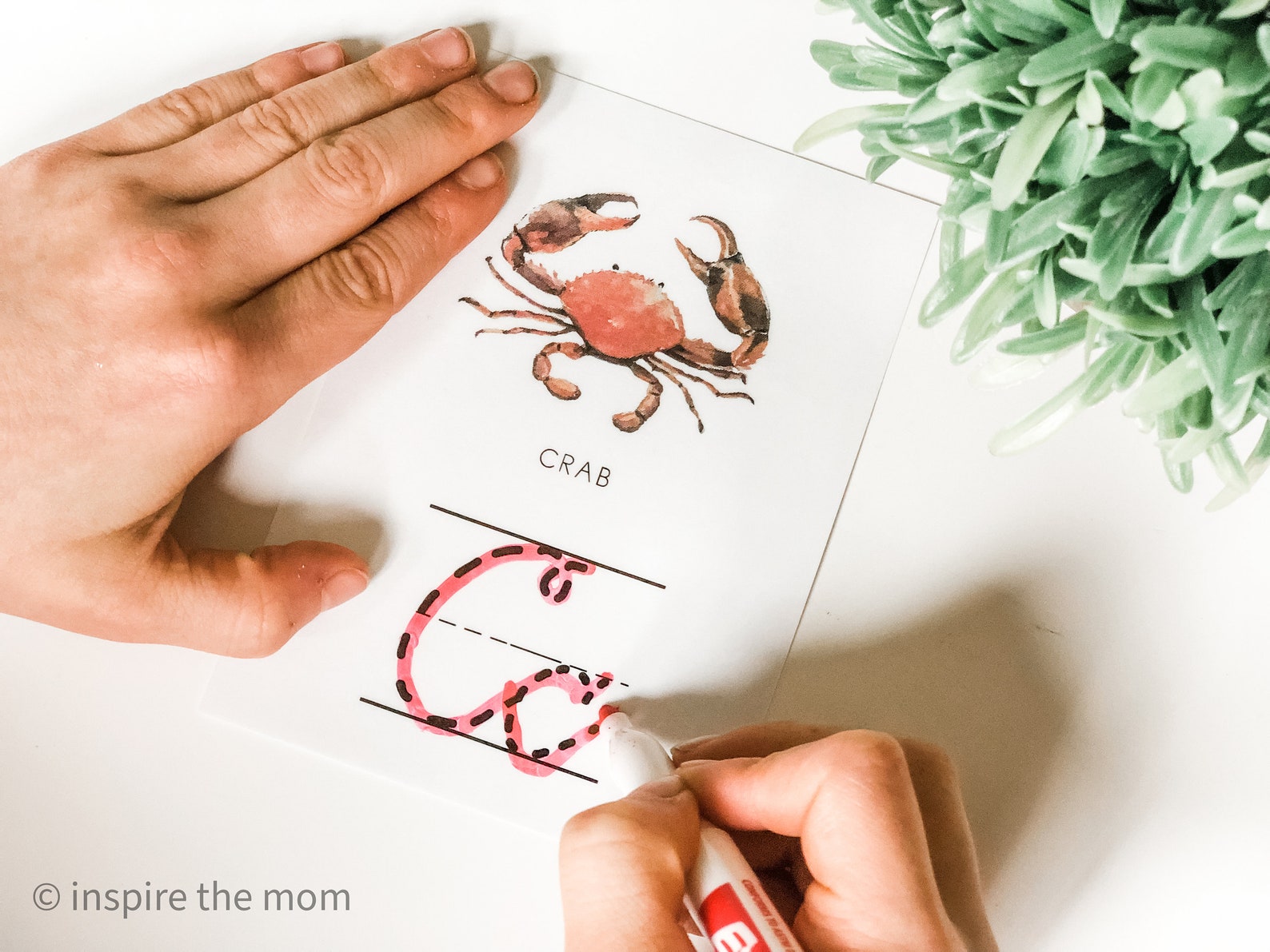 Ocean Animal Alphabet Tracing Cards Handwriting Activity | Etsy