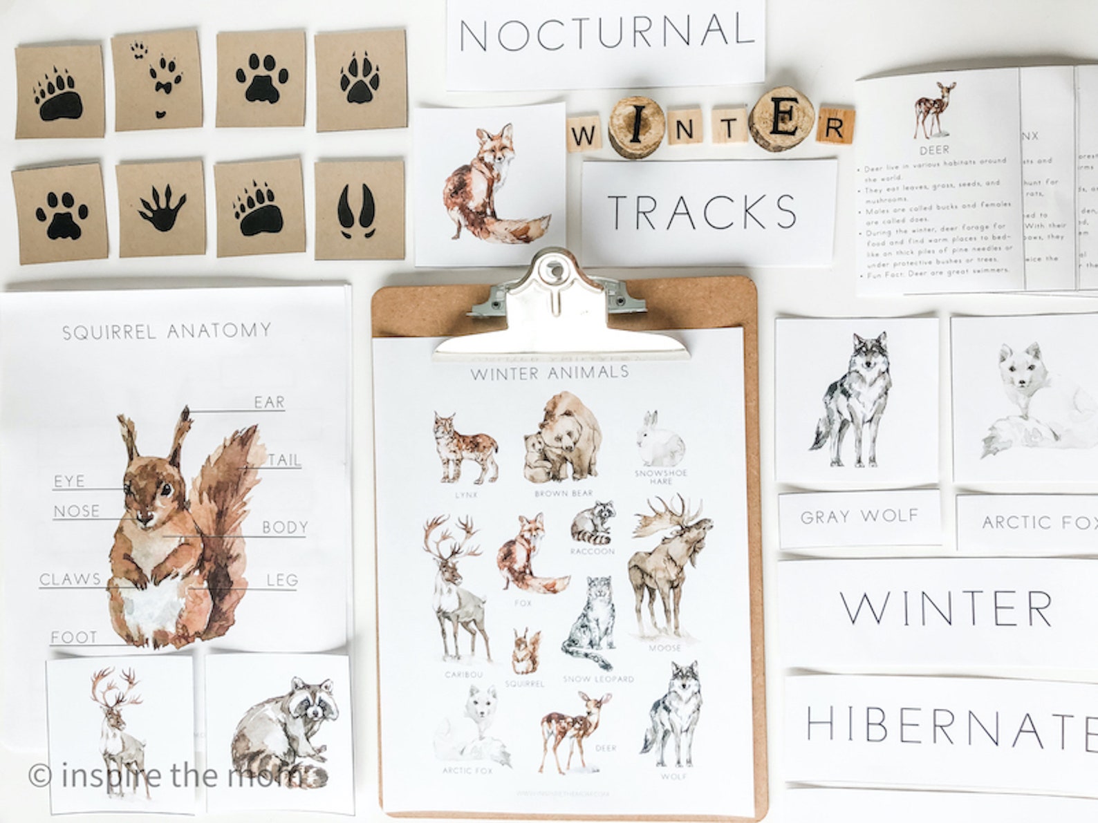 Winter Animals Unit Bundle, Nature Study, Math, Language Arts and ...