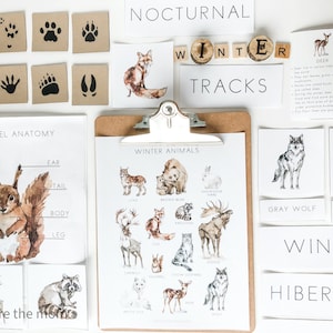 Winter Animals Unit Bundle, Nature Study, Math, Language Arts and ...