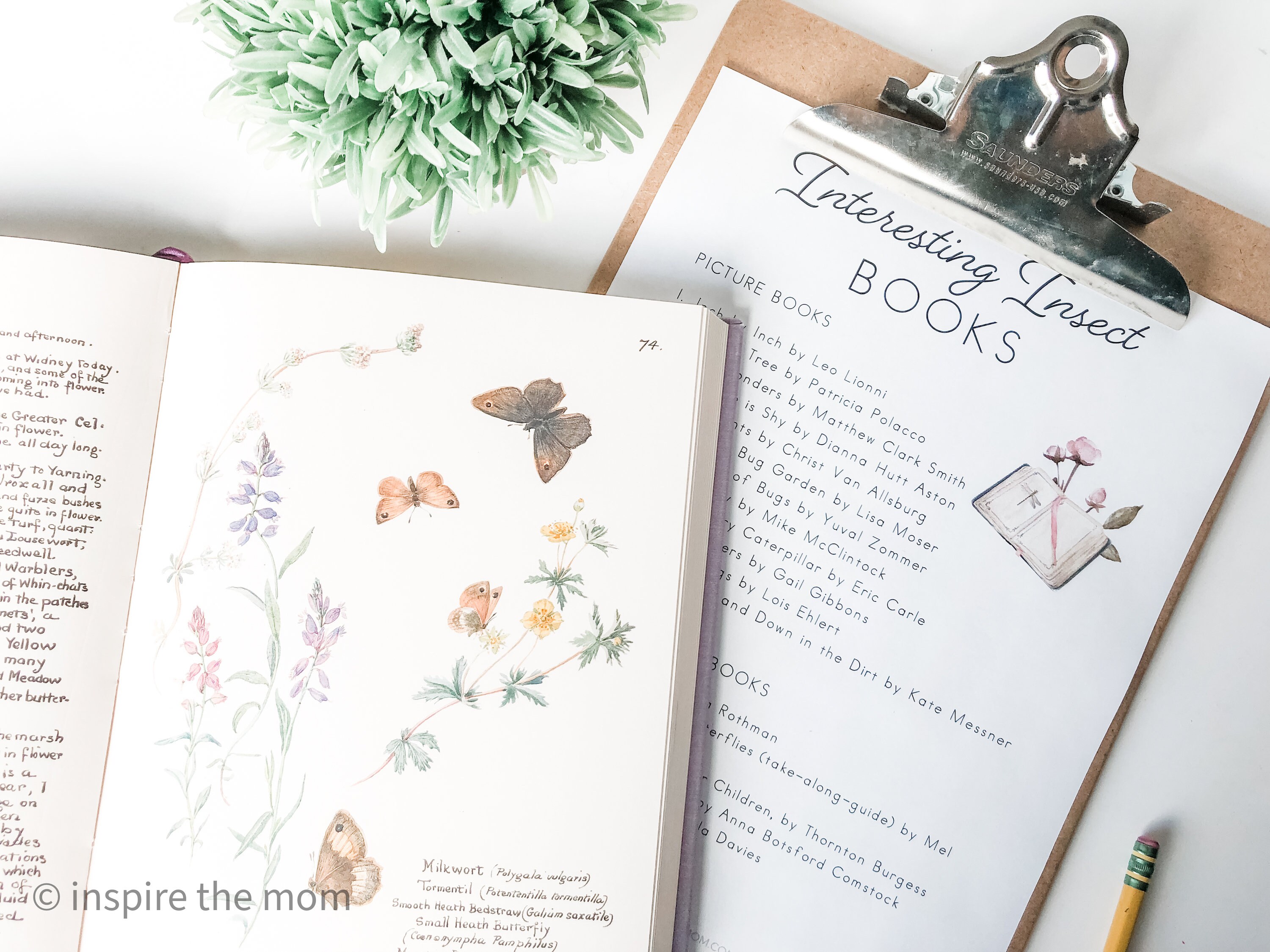 Interesting Insects Unit BUNDLE Nature Study Math Language - Etsy