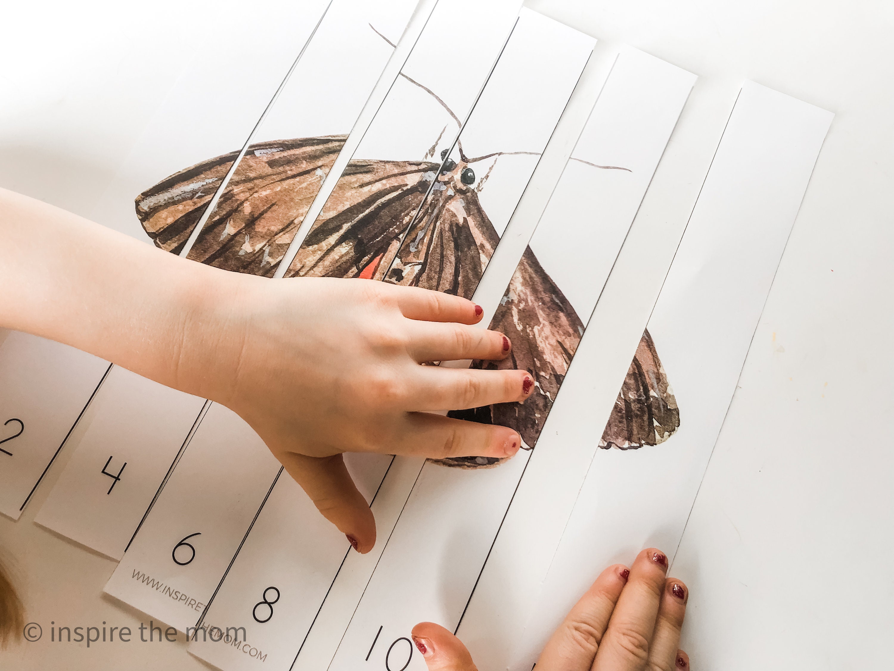 Interesting Insects Unit BUNDLE Nature Study Math Language - Etsy