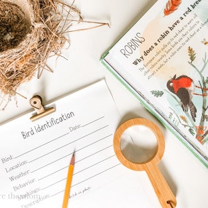 Spring Nature Journal for Kids, Nature Study, Science Curriculum ...