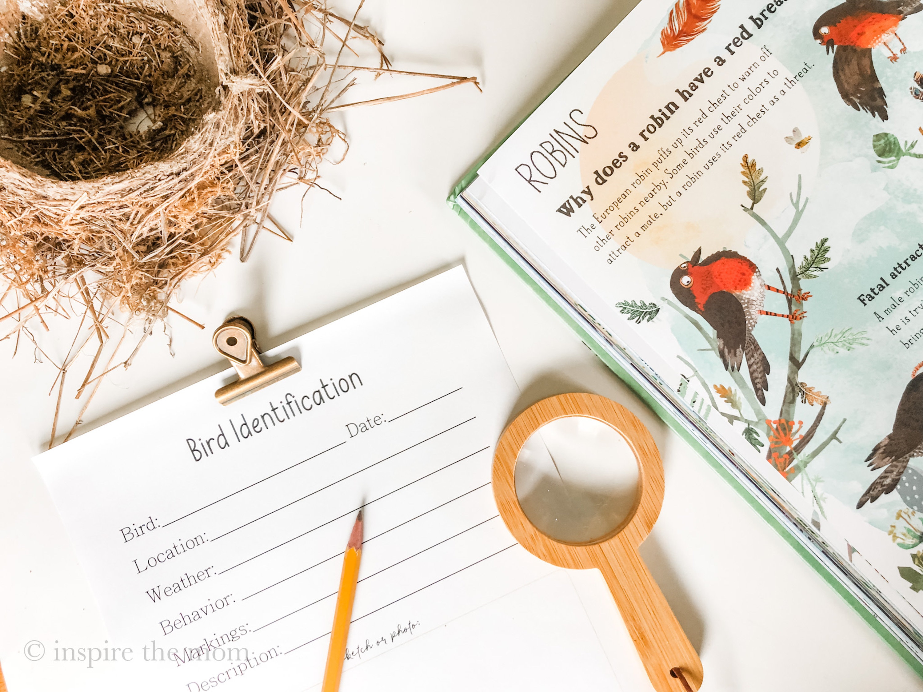 Spring Nature Journal for Kids, Nature Study, Science Curriculum ...
