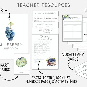 Blueberry Unit Study, Nature Study, Life Cycle, Prek - 3rd Grade ...