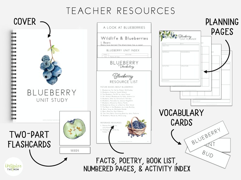 Blueberry Unit Study, Nature Study, Life Cycle, Prek - 3rd Grade ...